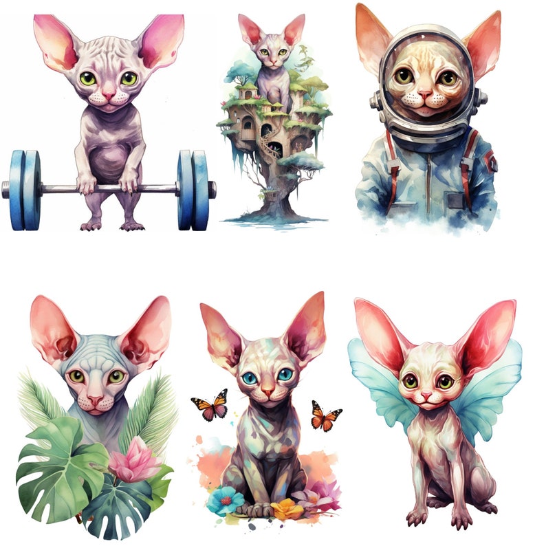 Sphynx Cat Watercolor Clipart, 35 Digital PNG Images High Quality 3600 ...