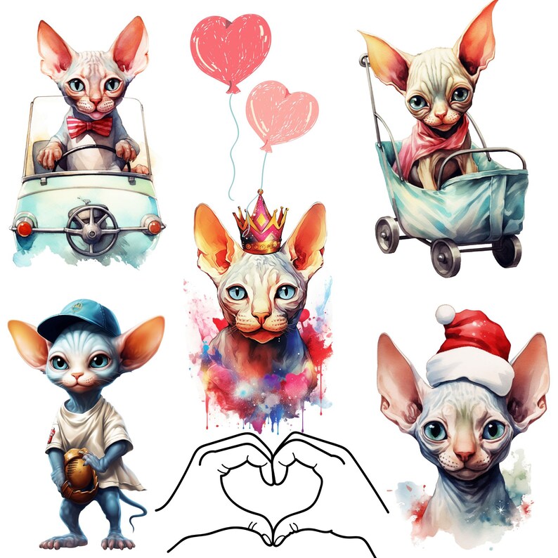 Sphynx Cat Watercolor Clipart, 35 Digital PNG Images High Quality 3600 ...
