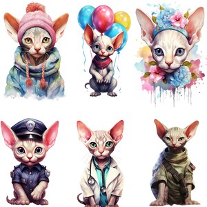 Sphynx Cat Watercolor Clipart, 35 Digital PNG Images High Quality 3600 ...