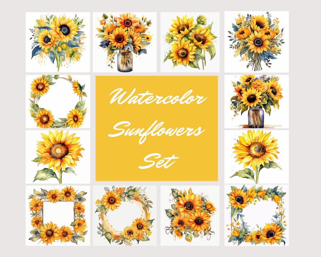Watercolor Sunflowers Set, Clipart, Instant Download, Jpegs With White ...