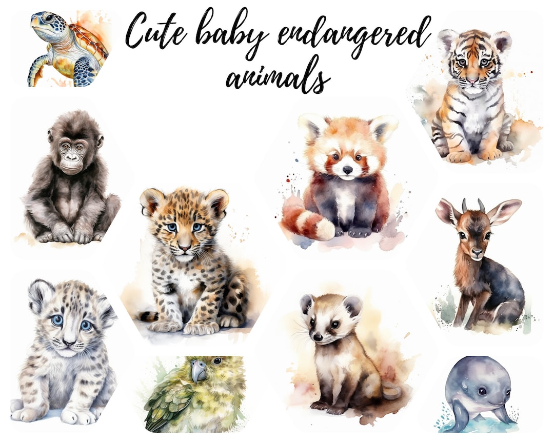 11 Endangered Species Baby Animals Watercolor Clipart, Jpegs, Digital ...