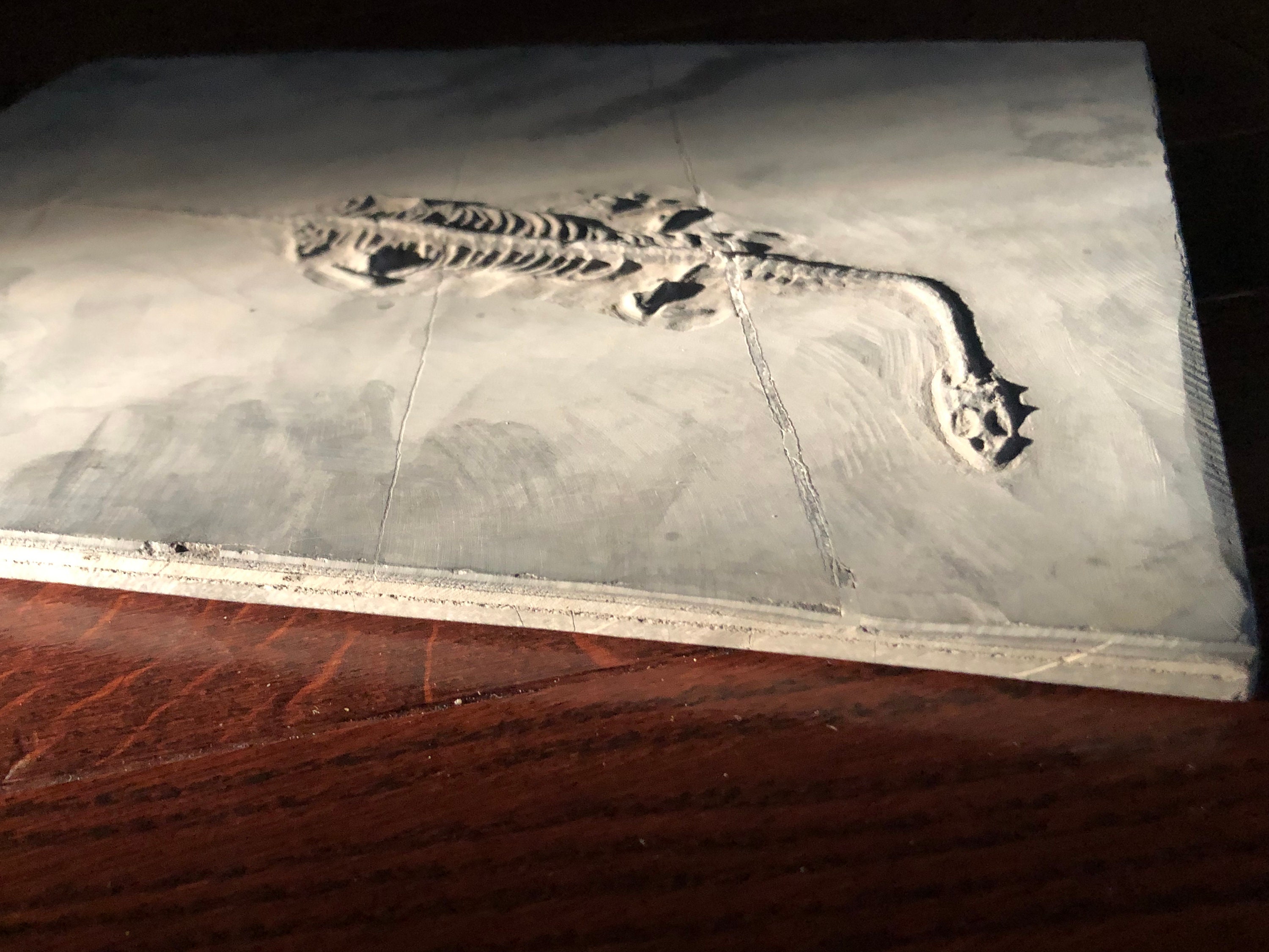 Keichousaurus Fossil Fossil Collection - Etsy