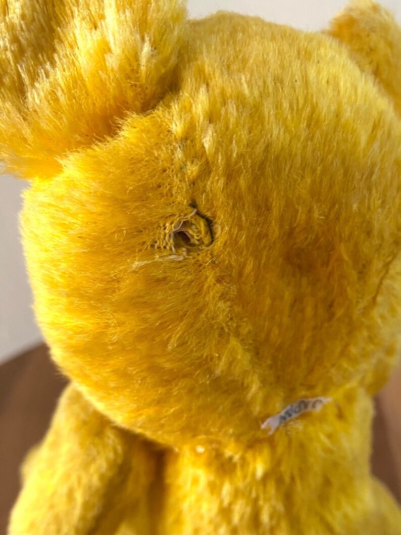 Vintage Golden Teddy Bear Articulated Arms and Legs Squeaker - Etsy