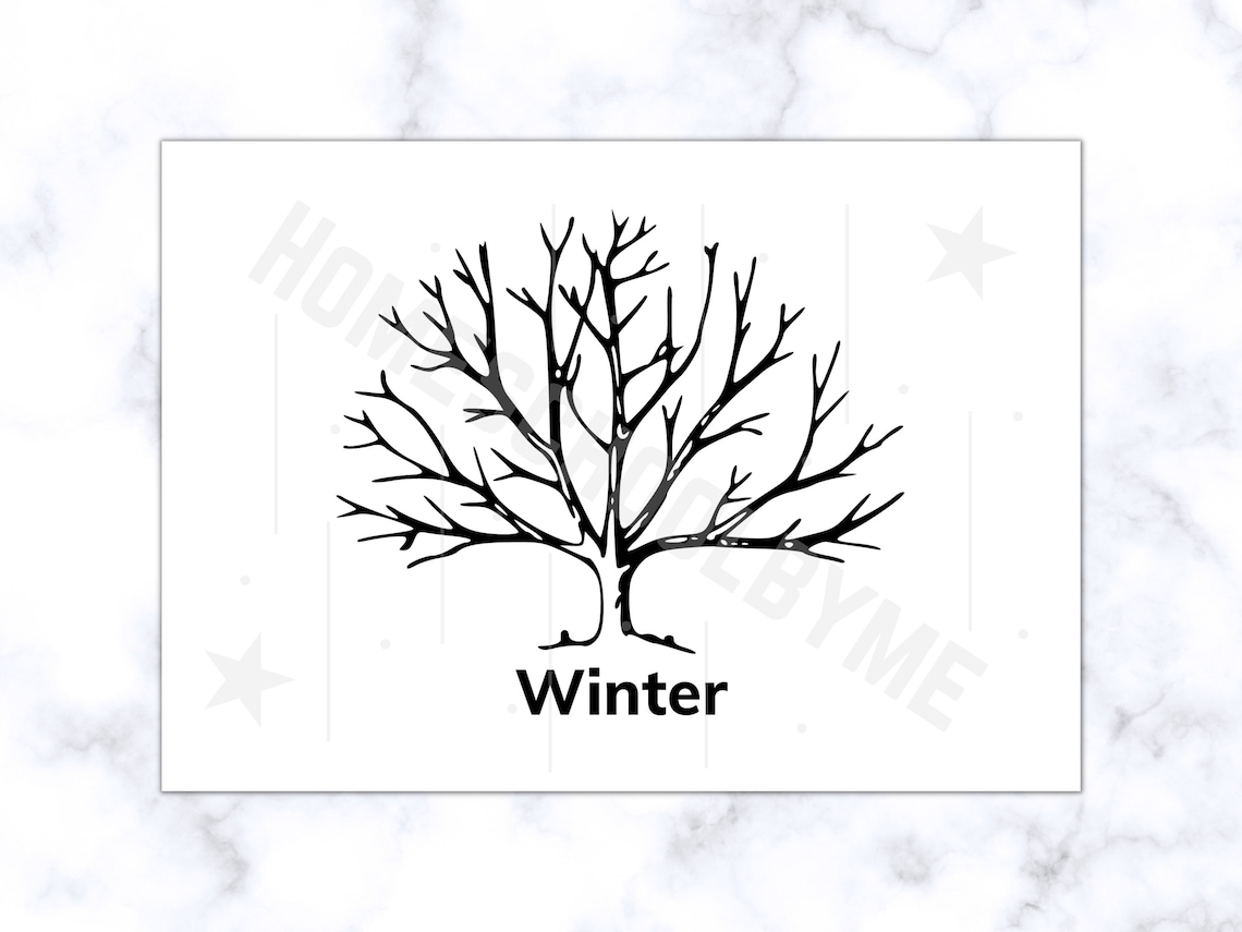Four Seasons Tree Activity for Preschool Age Kids | Learning About the ...