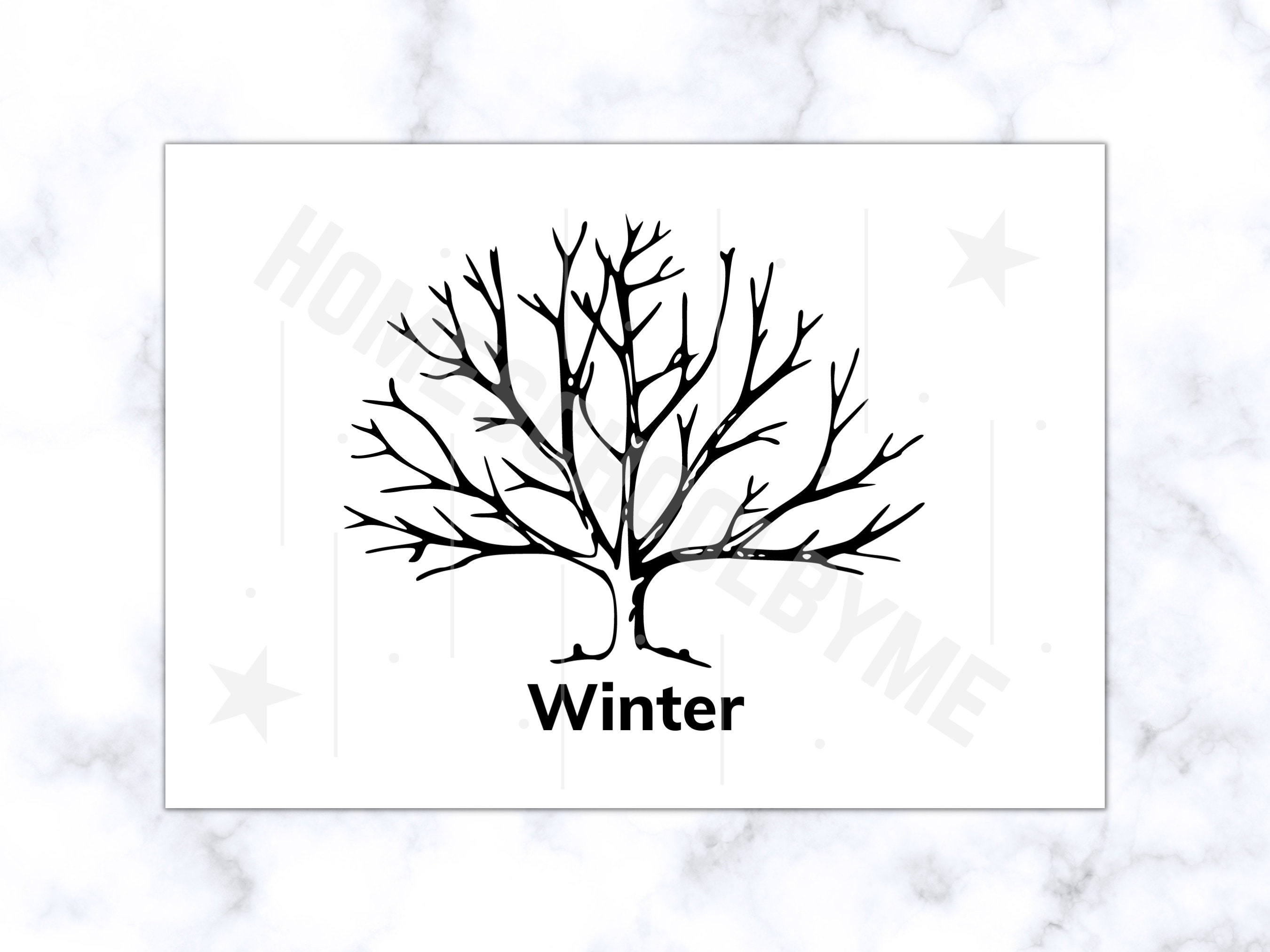 Four Seasons Tree Activity for Preschool Age Kids | Learning About the ...