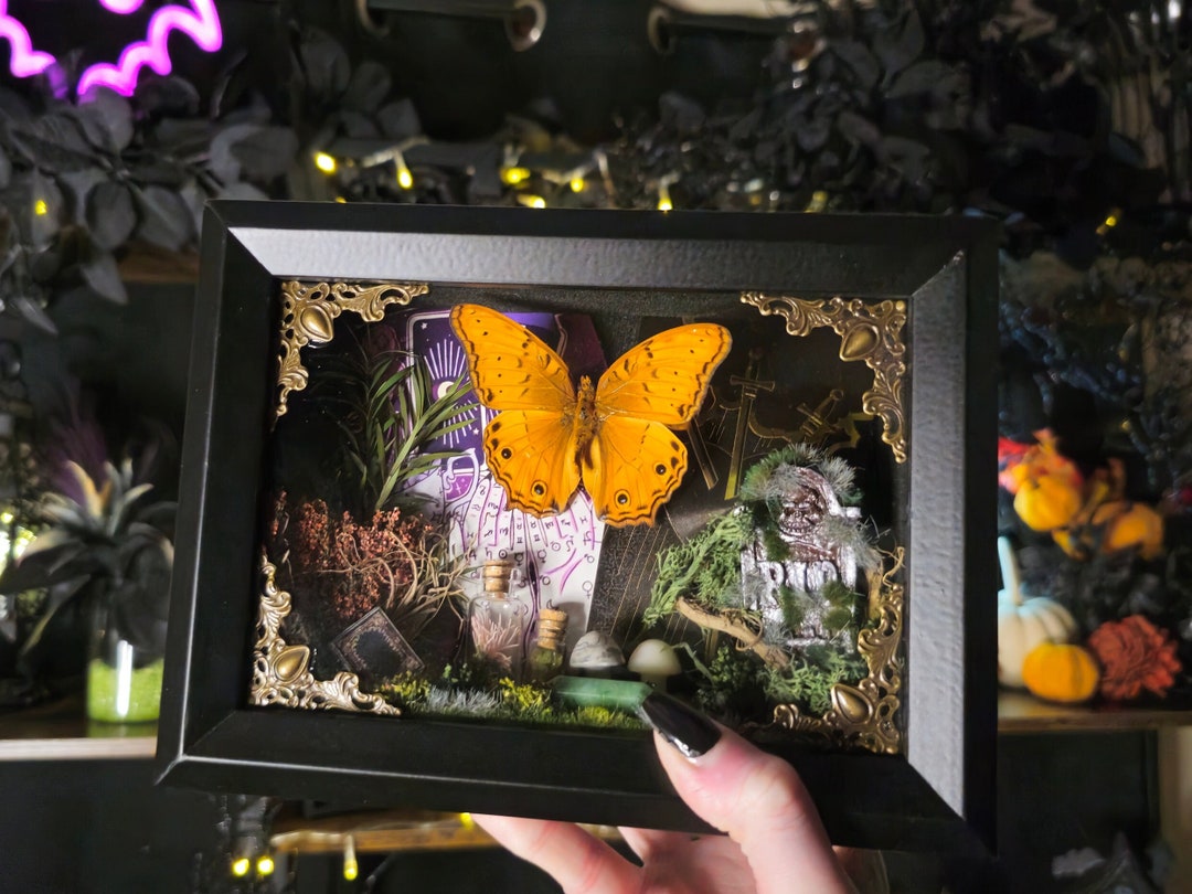 Cast a Circle Shadow Box - Etsy