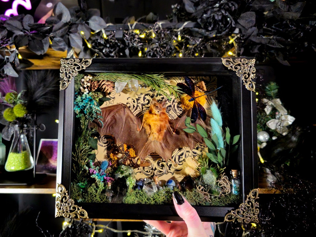 Cemetery Flight Shadow Box - Etsy