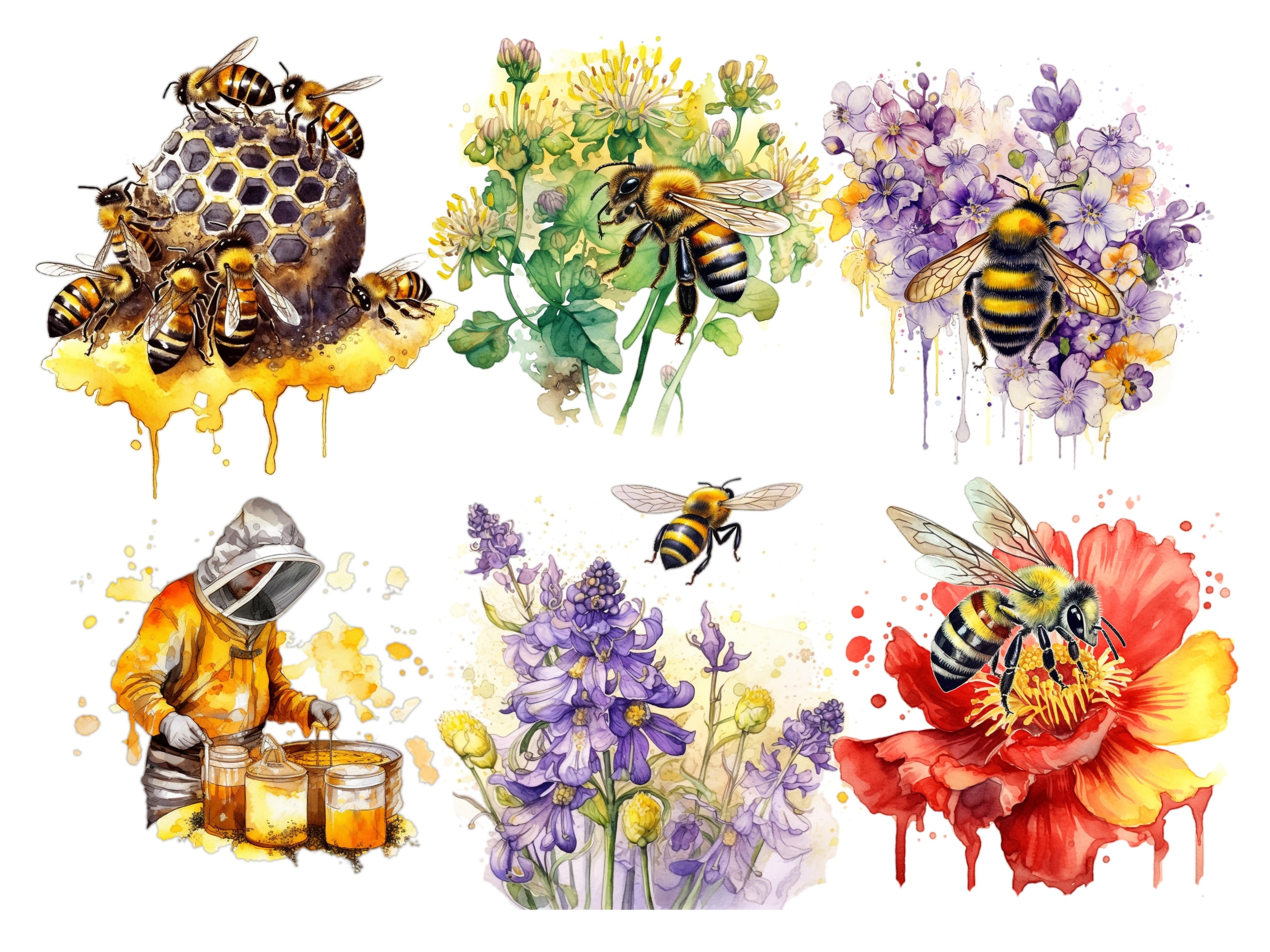 Watercolor Honey Bee Clipart Spring Garden Bee Honey Drips Clip Art PNG ...