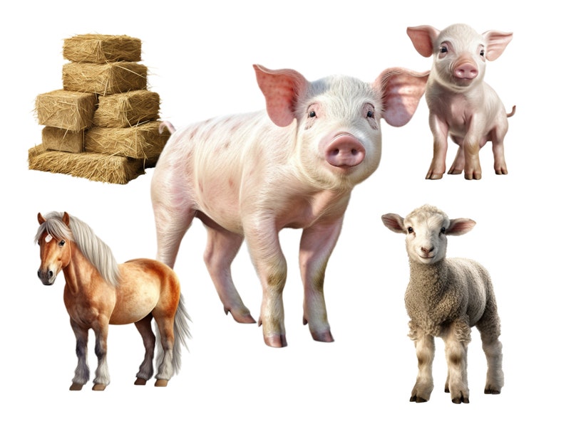 Granja animales Clipart PNG vida de granja Clip Art granero animales ...