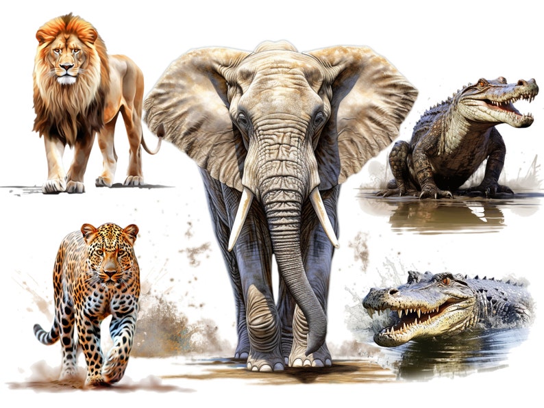 Safari Animals Clipart Bundle PNG African Animals Clip Art Lion ...