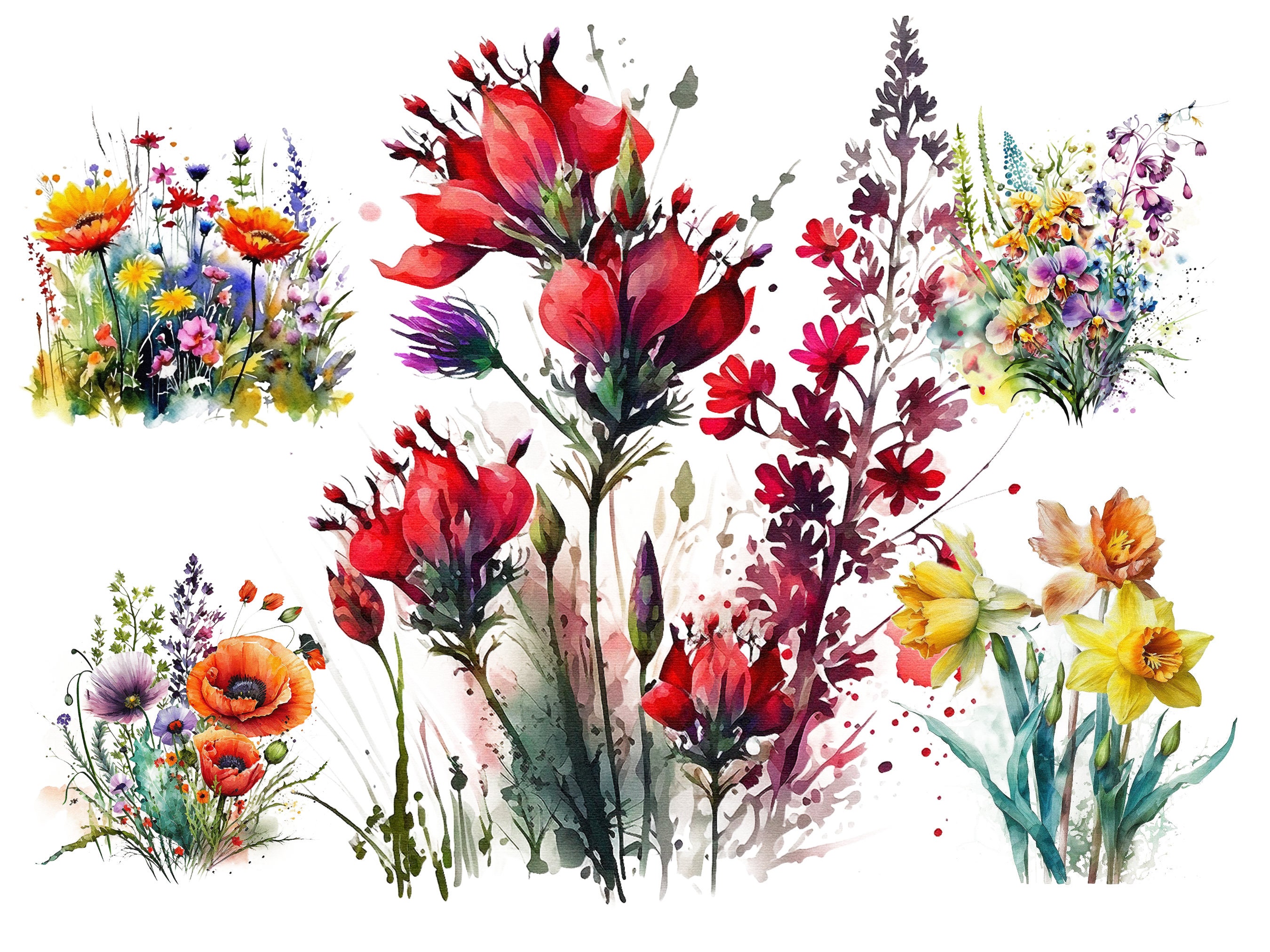 Watercolor Meadow Flowers Clipart PNG Spring Wildflower Floral - Etsy