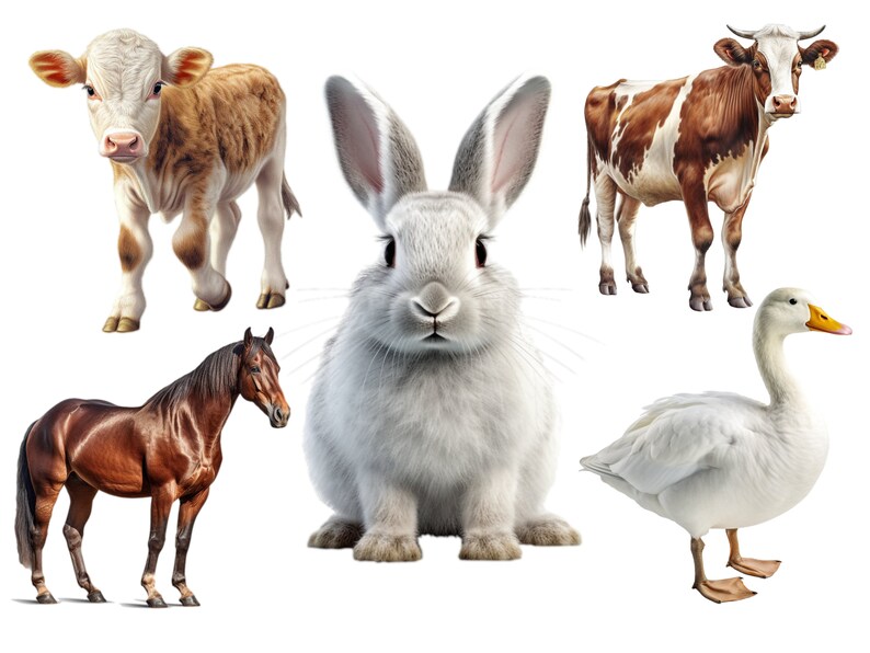 Granja animales Clipart PNG vida de granja Clip Art granero animales ...