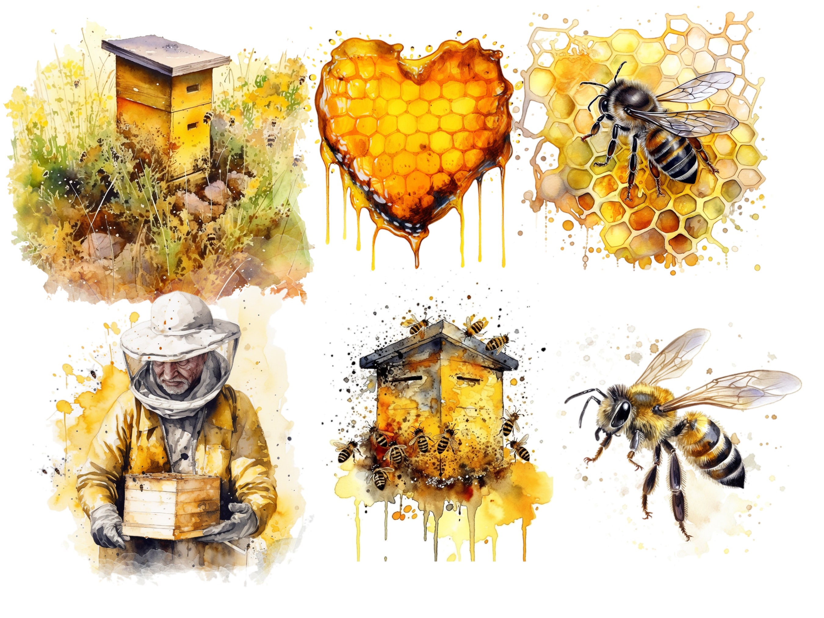 Watercolor Honey Bee Clipart Spring Garden Bee Honey Drips Clip Art PNG ...