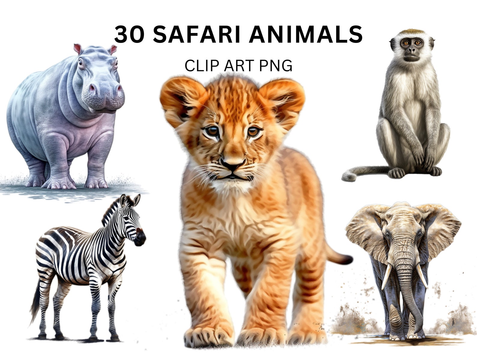 Safari Animals Clipart Bundle PNG African Animals Clip Art Lion ...