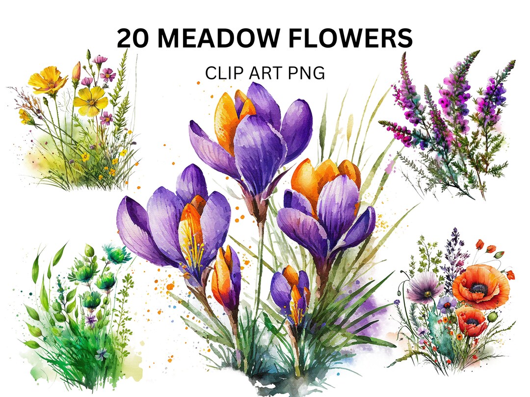 Watercolor Meadow Flowers Clipart PNG Spring Wildflower Floral Clip Art ...