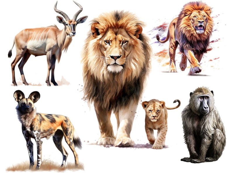 Safari Animals Clipart Bundle PNG African Animals Clip Art Lion ...
