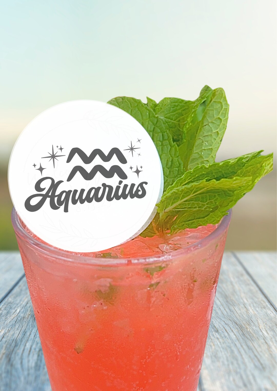 50 Ct Zodiac Sign Cocktail Edible Toppers Aquarius Horoscope Party ...