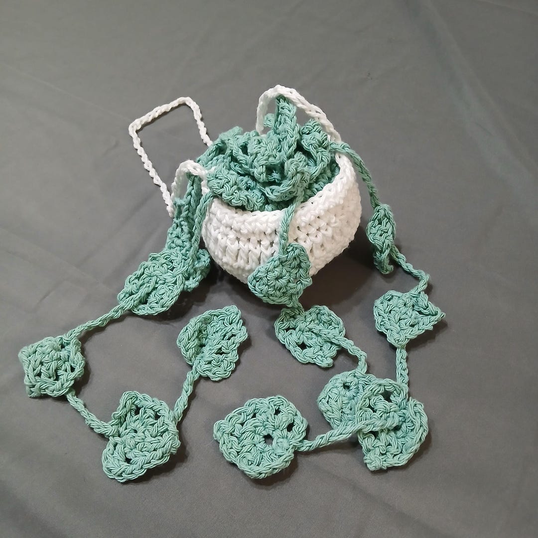 Crocheted String of Pearls Hanging Plant - Etsy