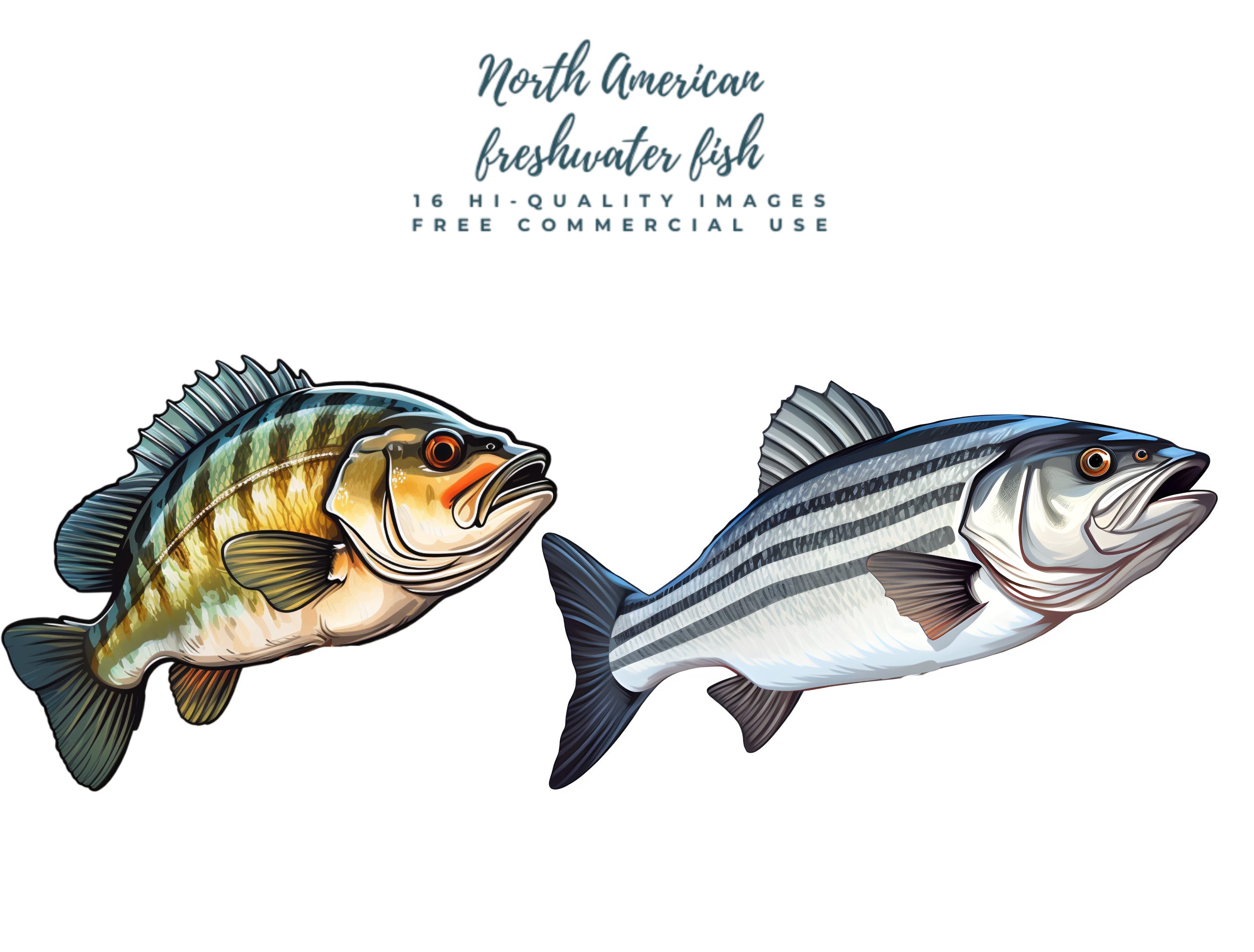 Watercolor Fish Clipart, Colorful Fish, Watercolor Fishing, Freshwater ...