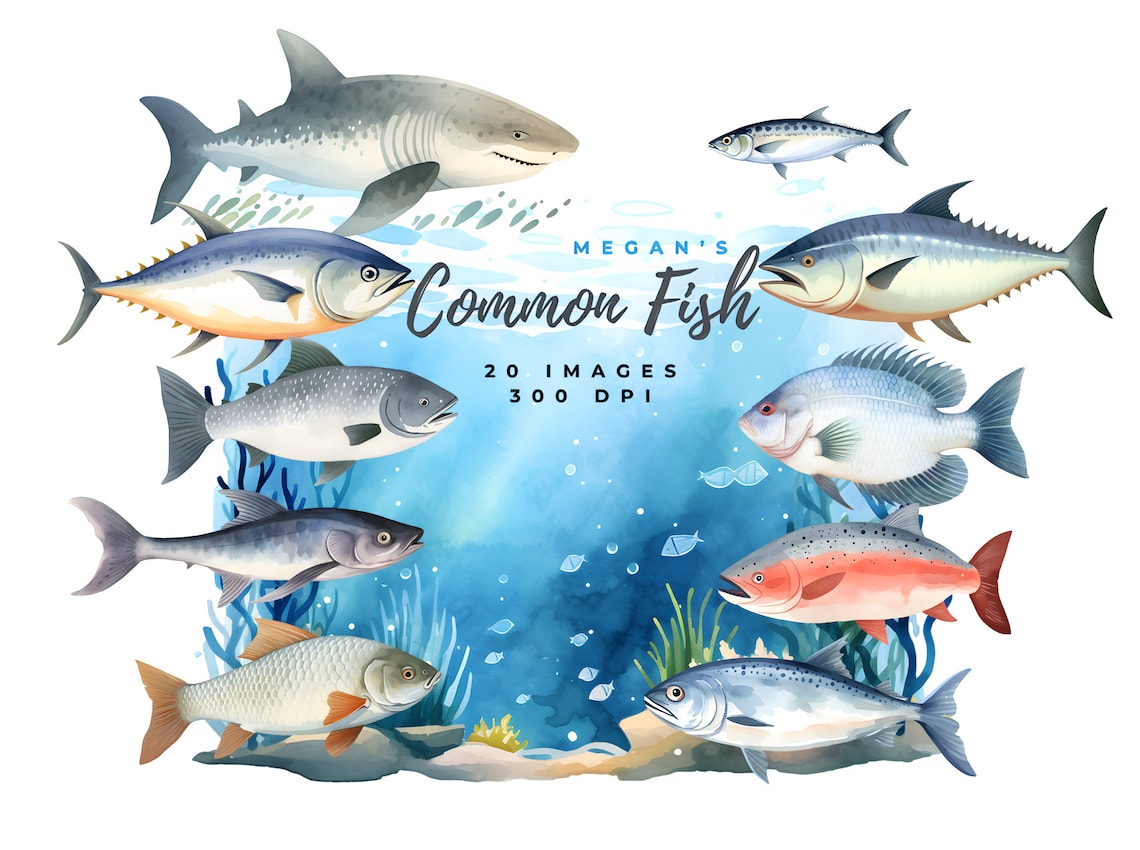 Ocean Fish Clipart, Watercolor Fish, Fishing Clipart, Fish Svg, Tuna ...