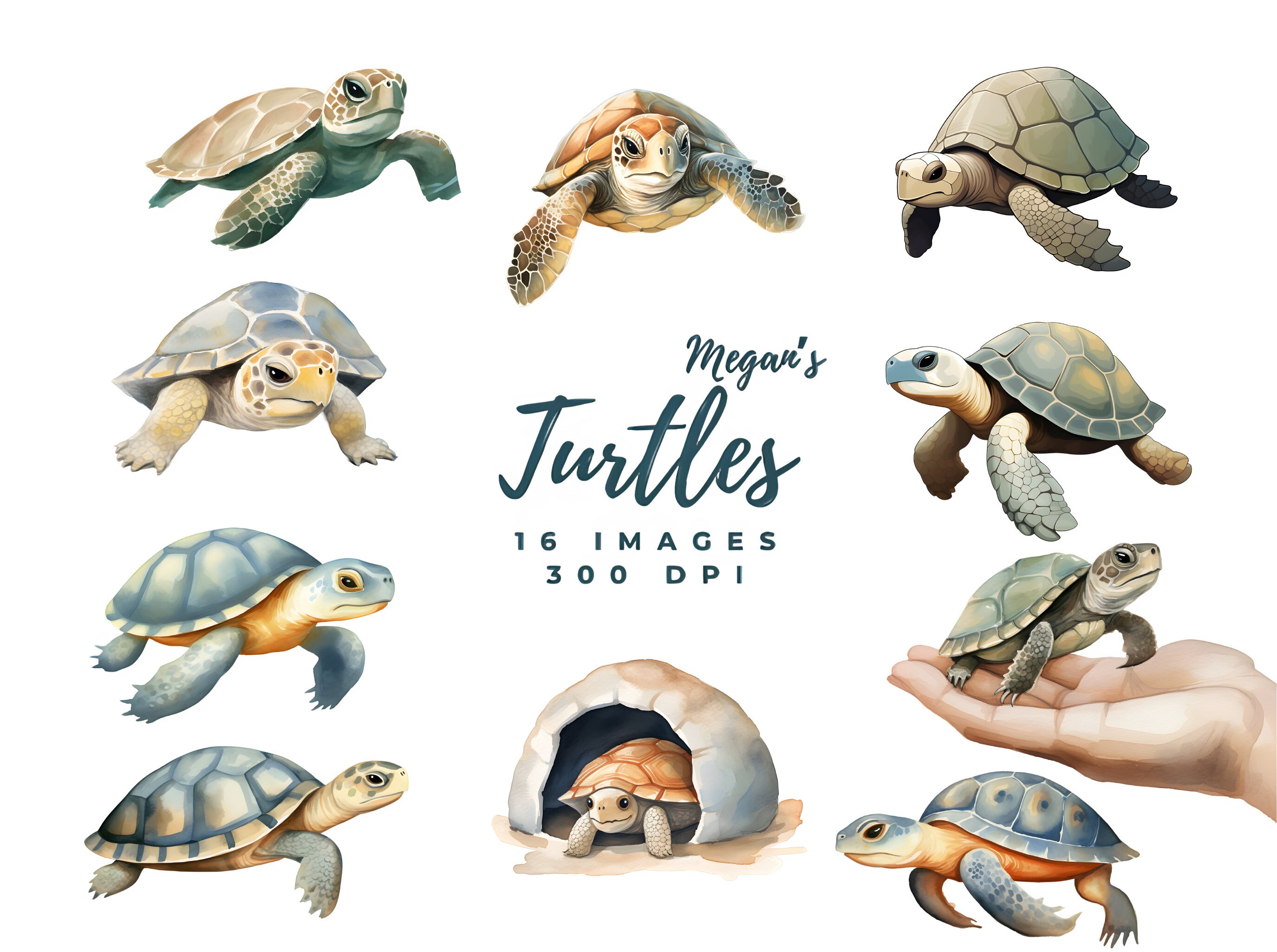 Watercolor Sea Turtle Clipart, Cute Nautical Ocean Animals PNG Clip Art ...