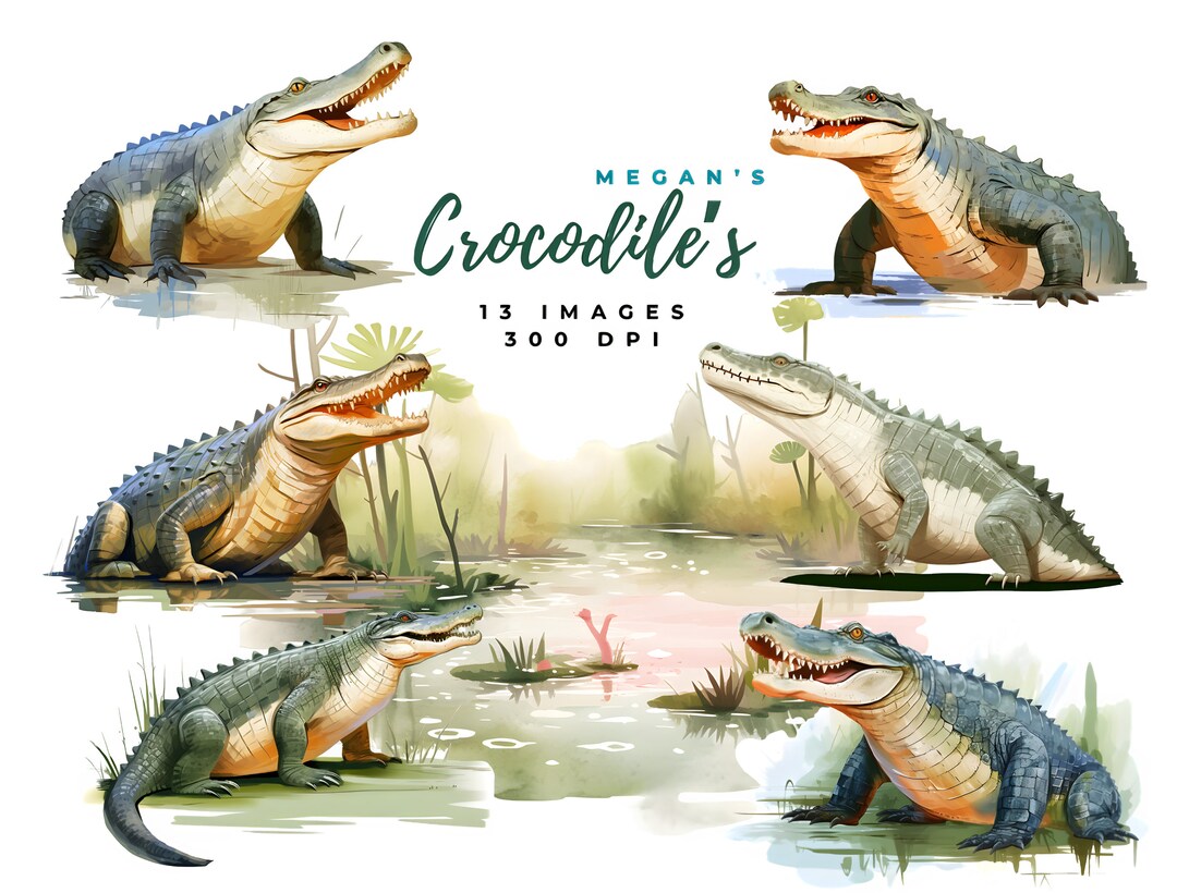 Watercolor Crocodile Clipart - Crocodile Png - Instant Download ...