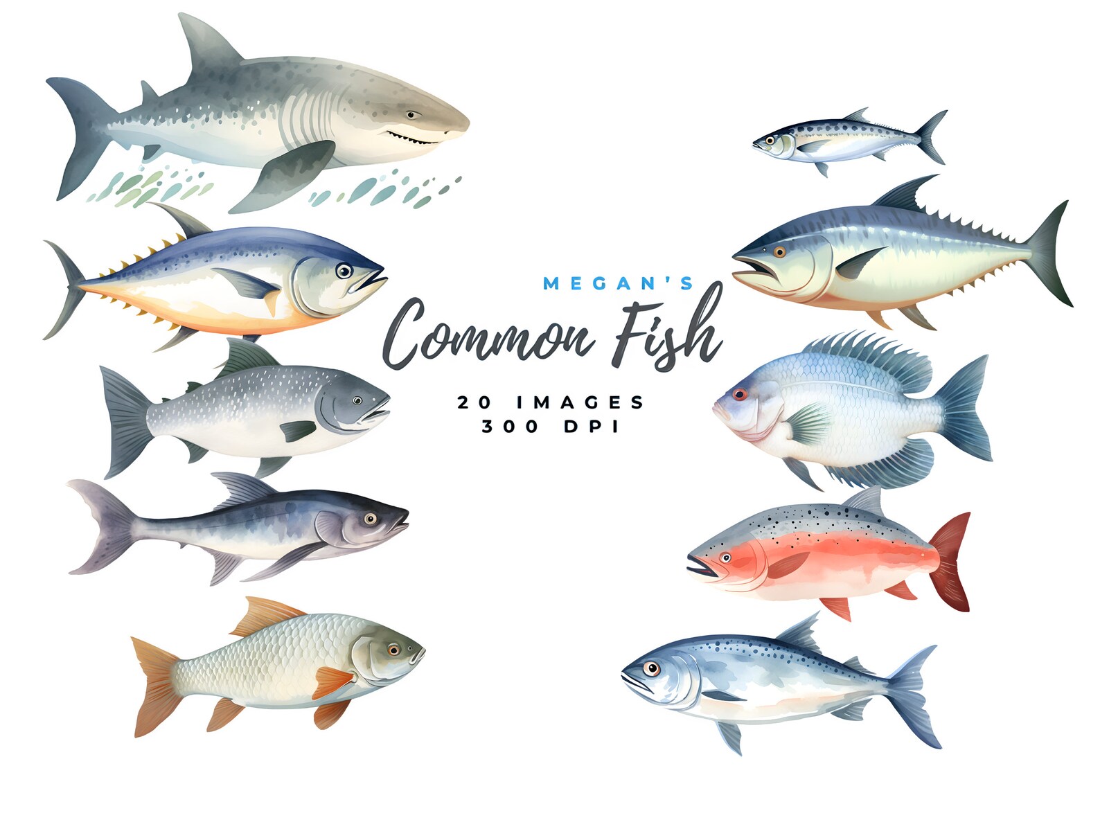 Ocean Fish Clipart, Watercolor Fish, Fishing Clipart, Fish Svg, Tuna ...
