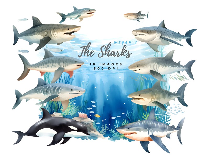 Shark Clipart, Watercolor Shark, Shark PNG, 300 Dpi, Digital Download ...