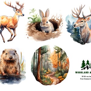 Woodland Animals Clipart - Watercolor Forest Animals Clipart - Instant ...