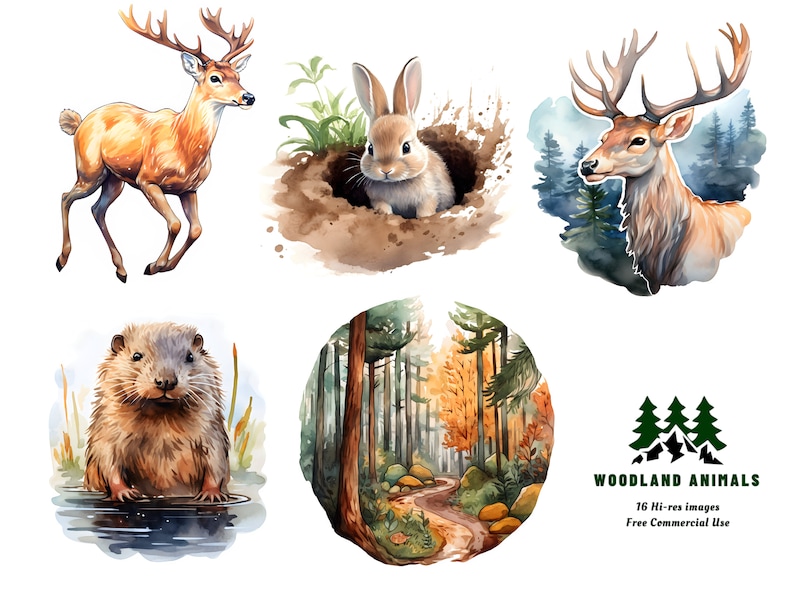 Woodland Animals Clipart - Watercolor Forest Animals Clipart - Instant ...