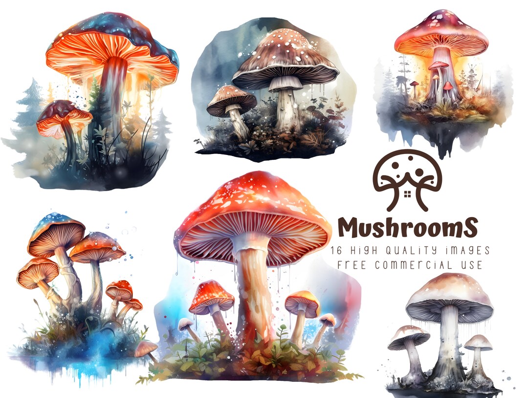 Mushroom Clipart, Mushroom Cluster, Watercolor Toadstool, Mushroom Clip ...