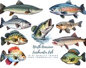 Watercolor Fish Clipart Colorful Fish Watercolor Fishing - Etsy