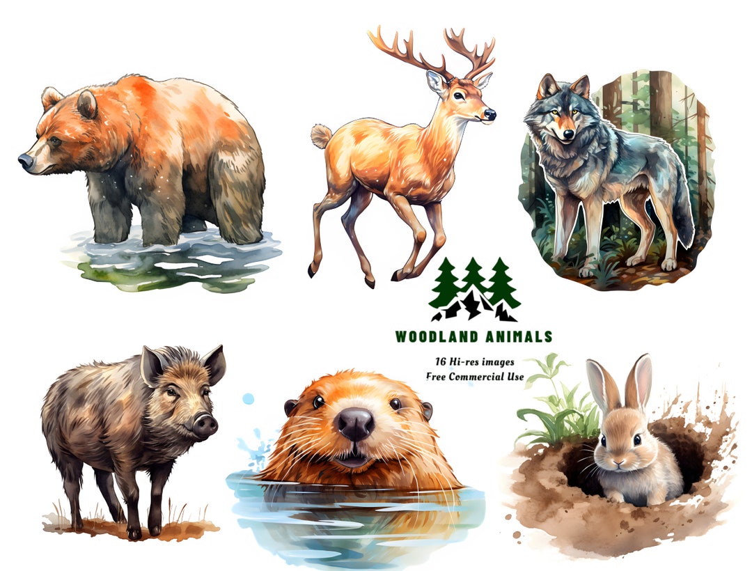 Woodland Animals Clipart - Watercolor Forest Animals Clipart - Instant ...