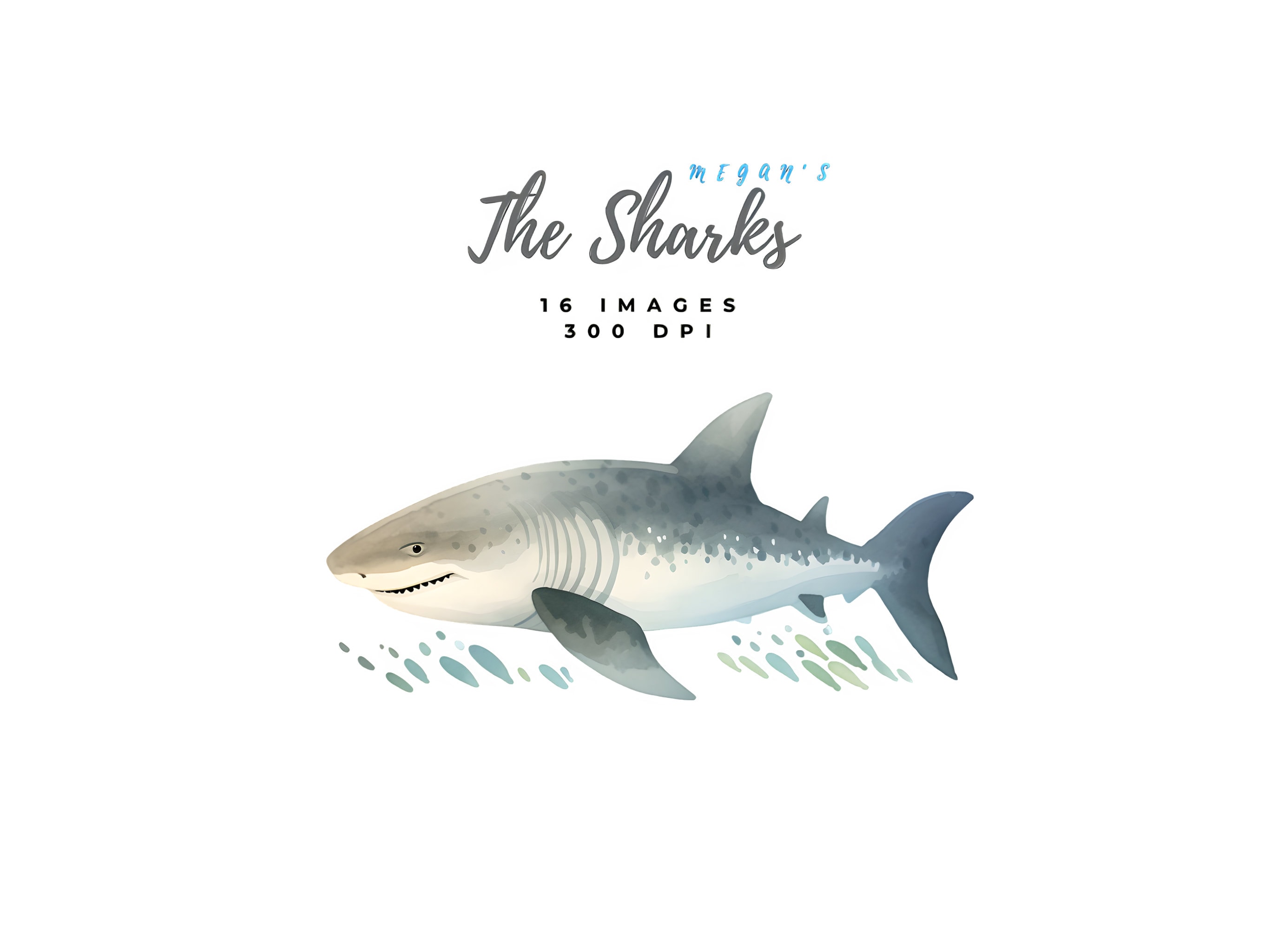 Shark Clipart, Watercolor Shark, Shark PNG, 300 Dpi, Digital Download ...