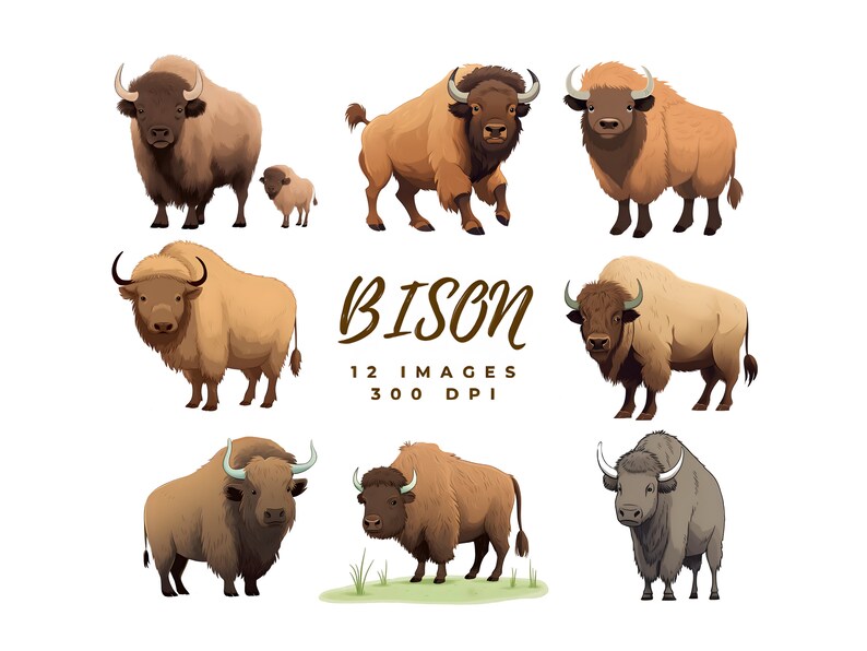 Watercolor Bison Clipart, Printable Art, Digital Design for Crafting ...