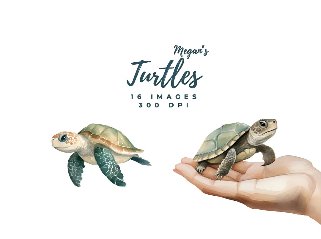 Watercolor Sea Turtle Clipart, Cute Nautical Ocean Animals PNG Clip Art ...