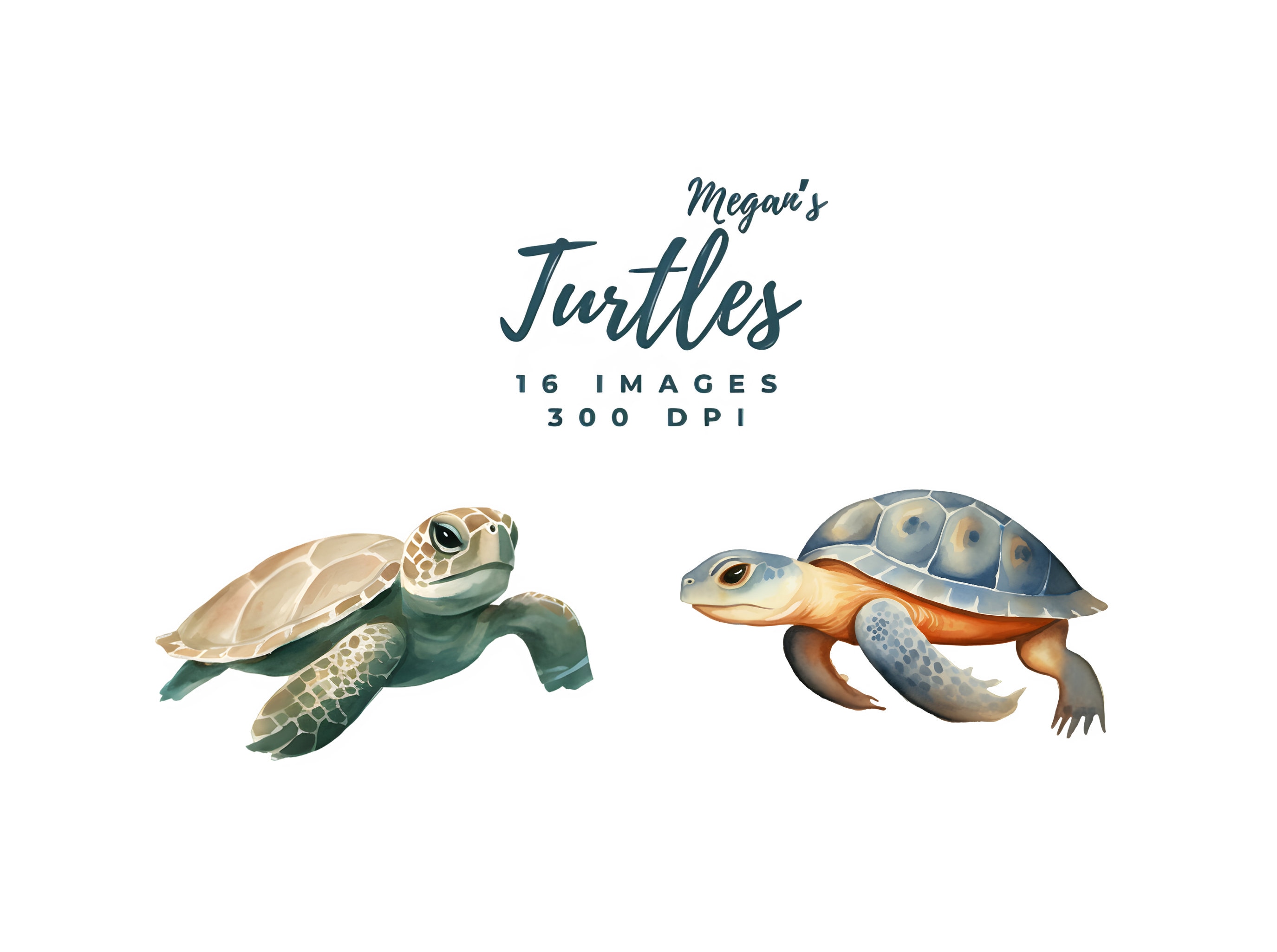Watercolor Sea Turtle Clipart, Cute Nautical Ocean Animals PNG Clip Art ...