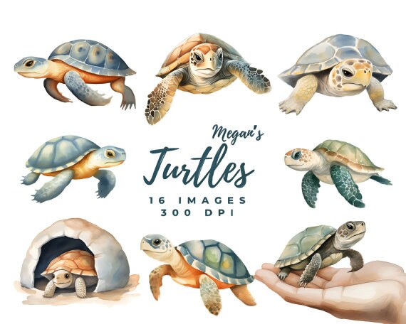 Watercolor Sea Turtle Clipart, Cute Nautical Ocean Animals PNG Clip Art ...