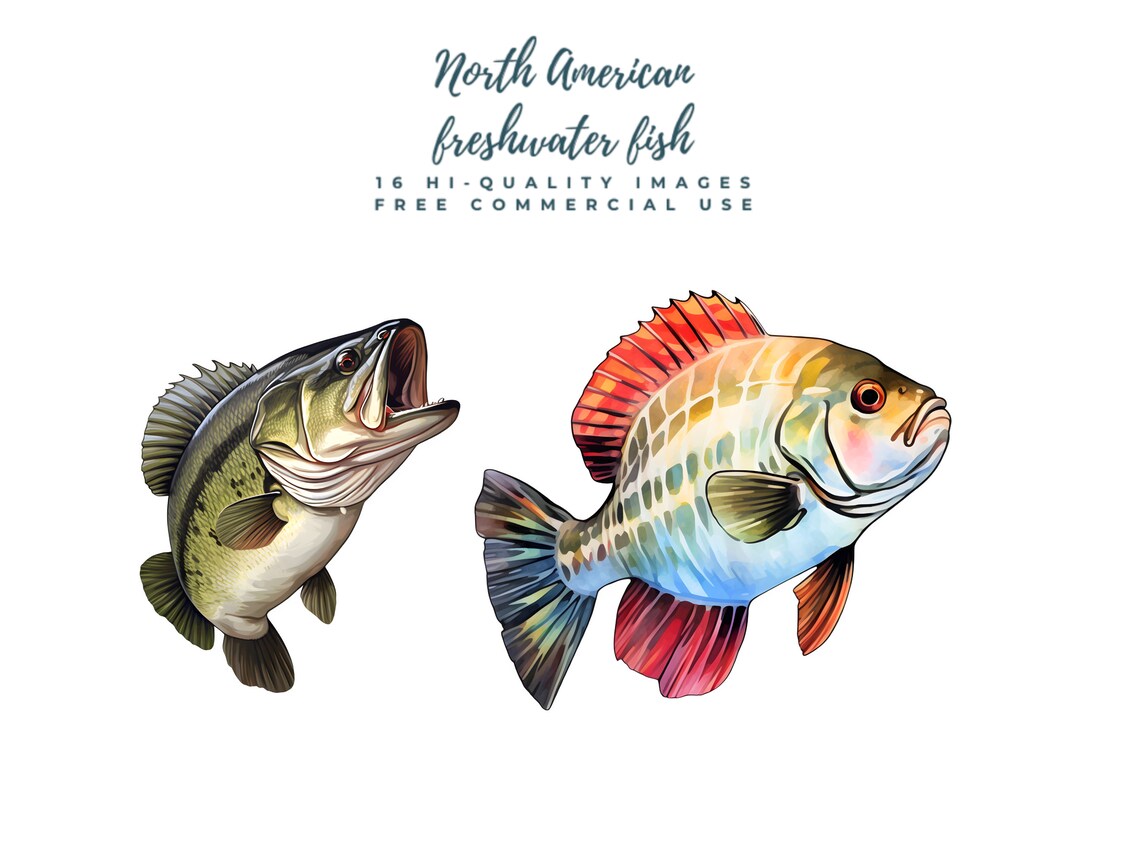 Watercolor Fish Clipart, Colorful Fish, Watercolor Fishing, Freshwater ...