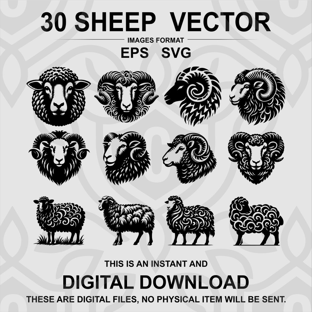 Sheep Vector Bundle 30 High-quality Files, Sheep Svg, Sheep Eps, Sheep ...