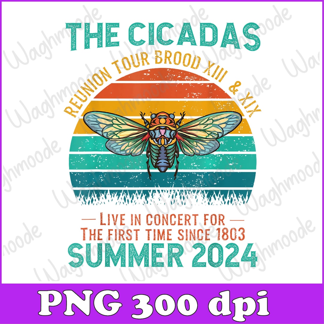 Cicada Brood XIII XIX Summer 2024 Reunion Tour Swarm Cicadas Png ...