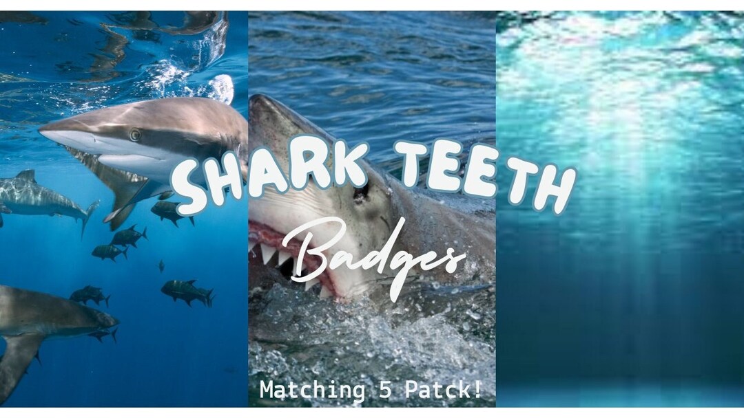5 Shark Teeth Badges 5 Matching Badges - Etsy