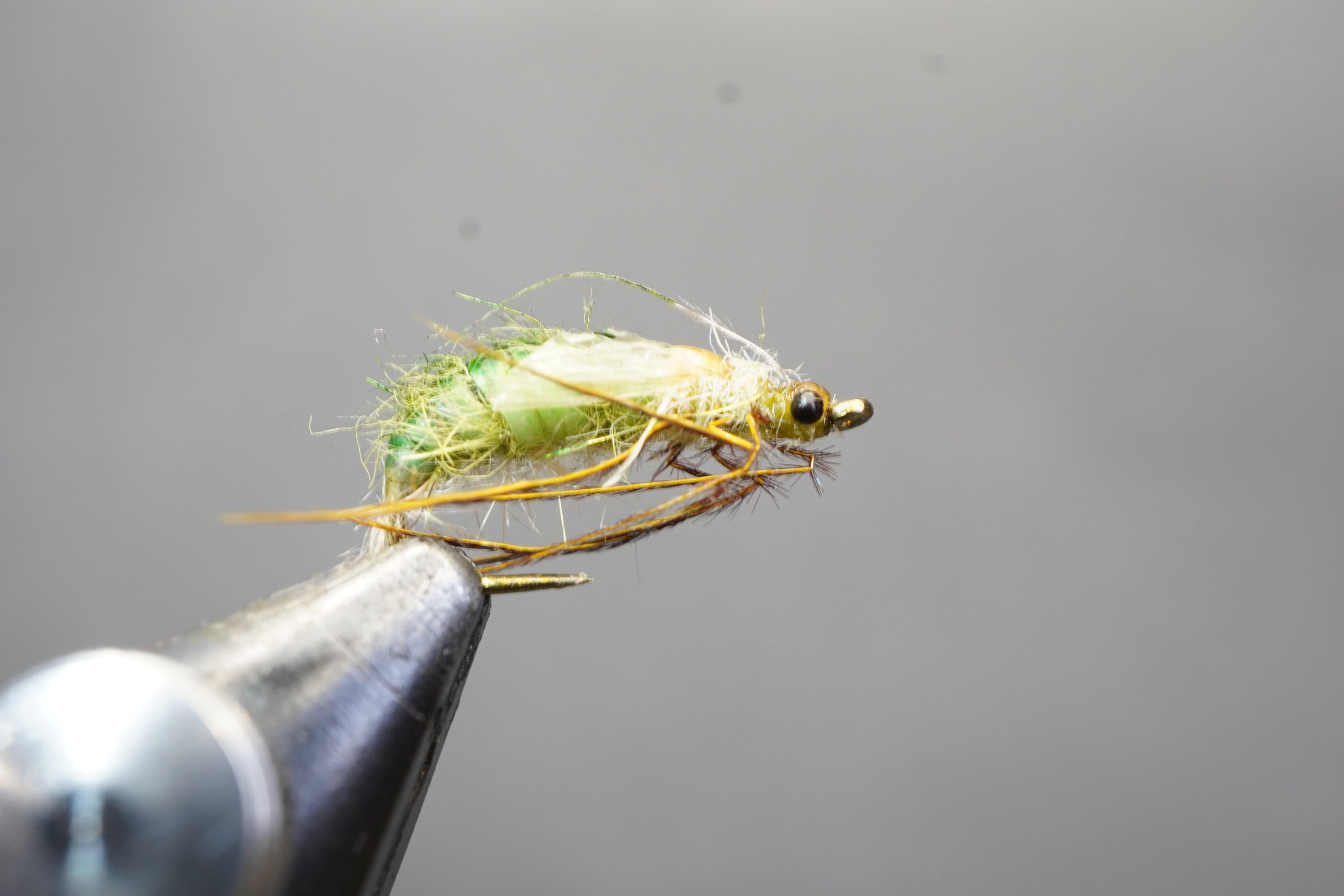 Fly Fishing - Caddisfly Pupa - Hydropsyche- Realistic - Trout, Grayling ...
