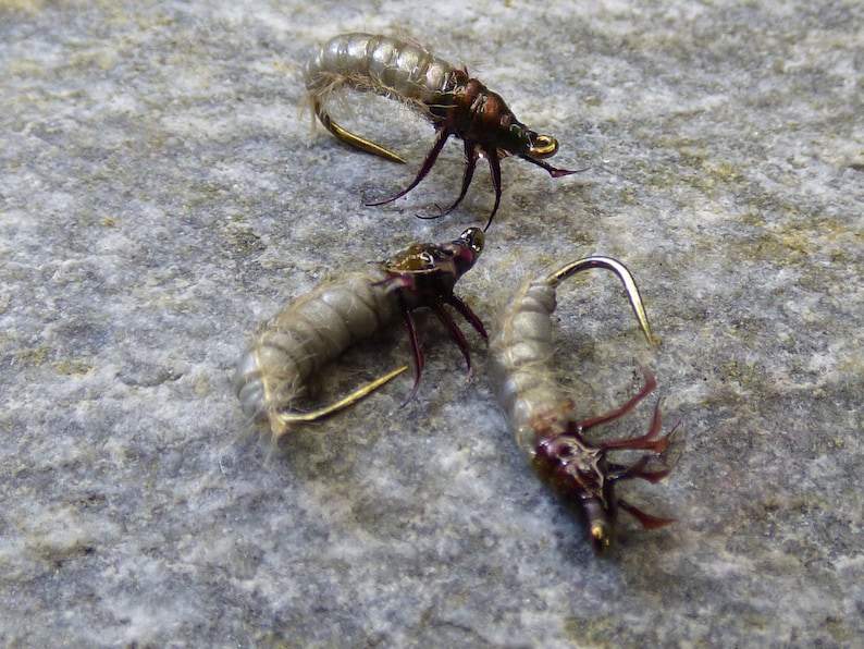 Fly Fishing Caddisfly Larva Realistic Trout, Grayling, Barbel - Etsy