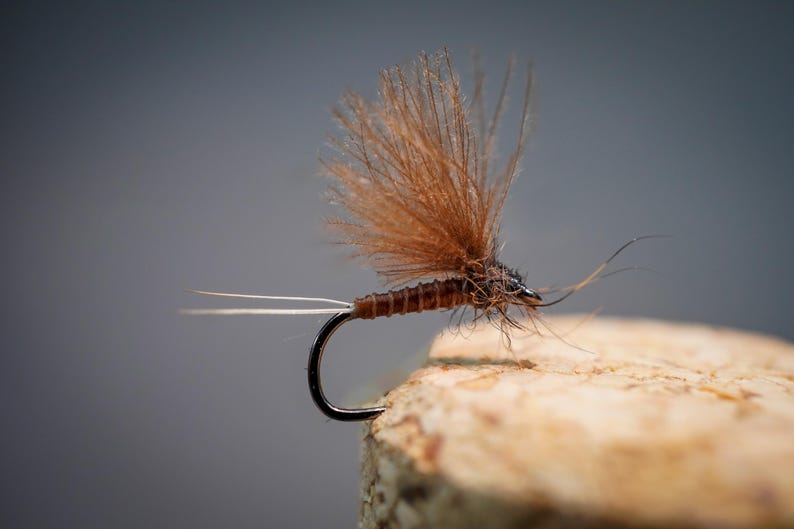 Fly Fishing -BWO May Fly - Realistic - Trout, Grayling, Barbel - Etsy