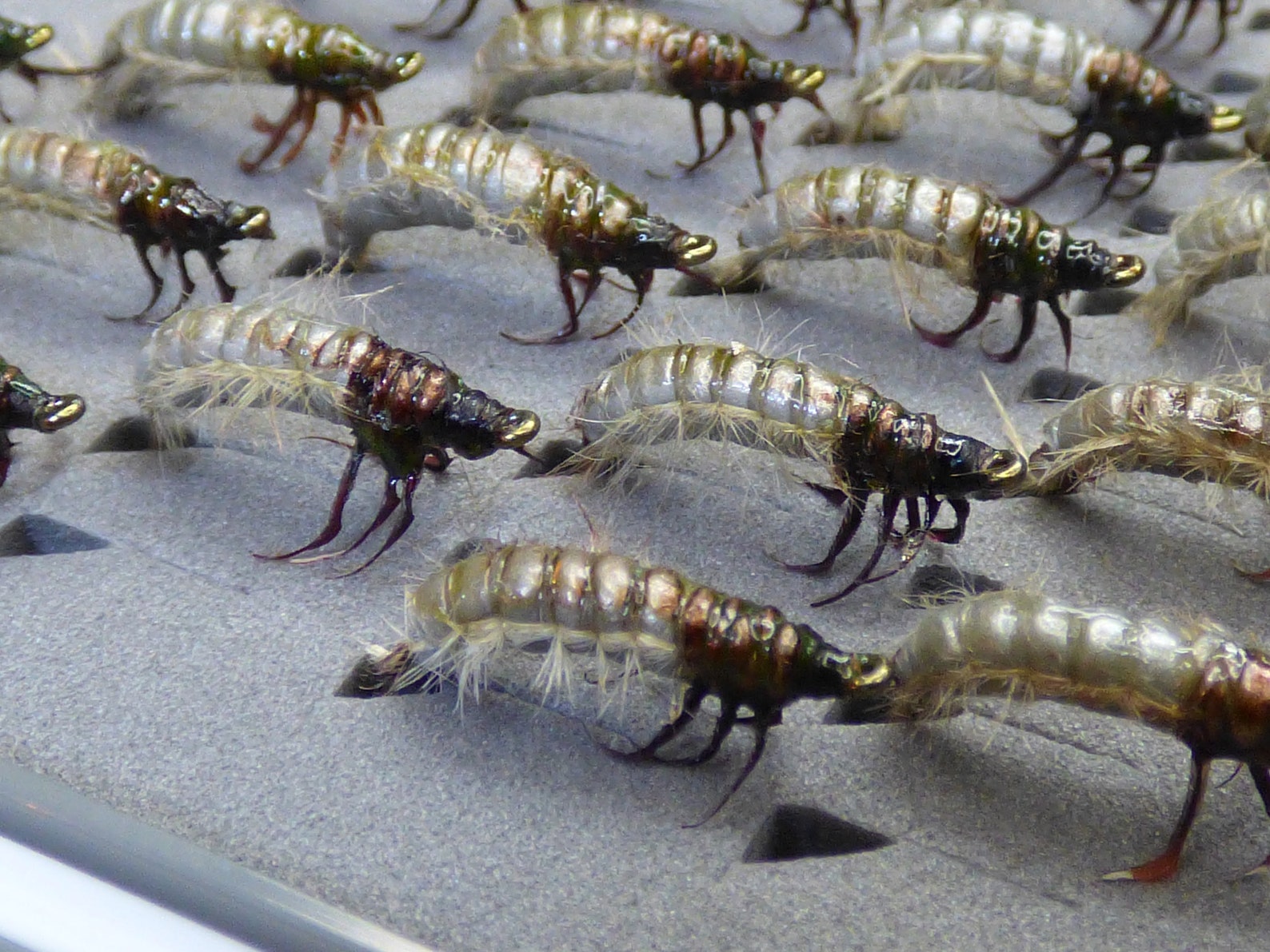 Pêche à la mouche - Larve de phrygane - Réaliste - Truite, ombre ...