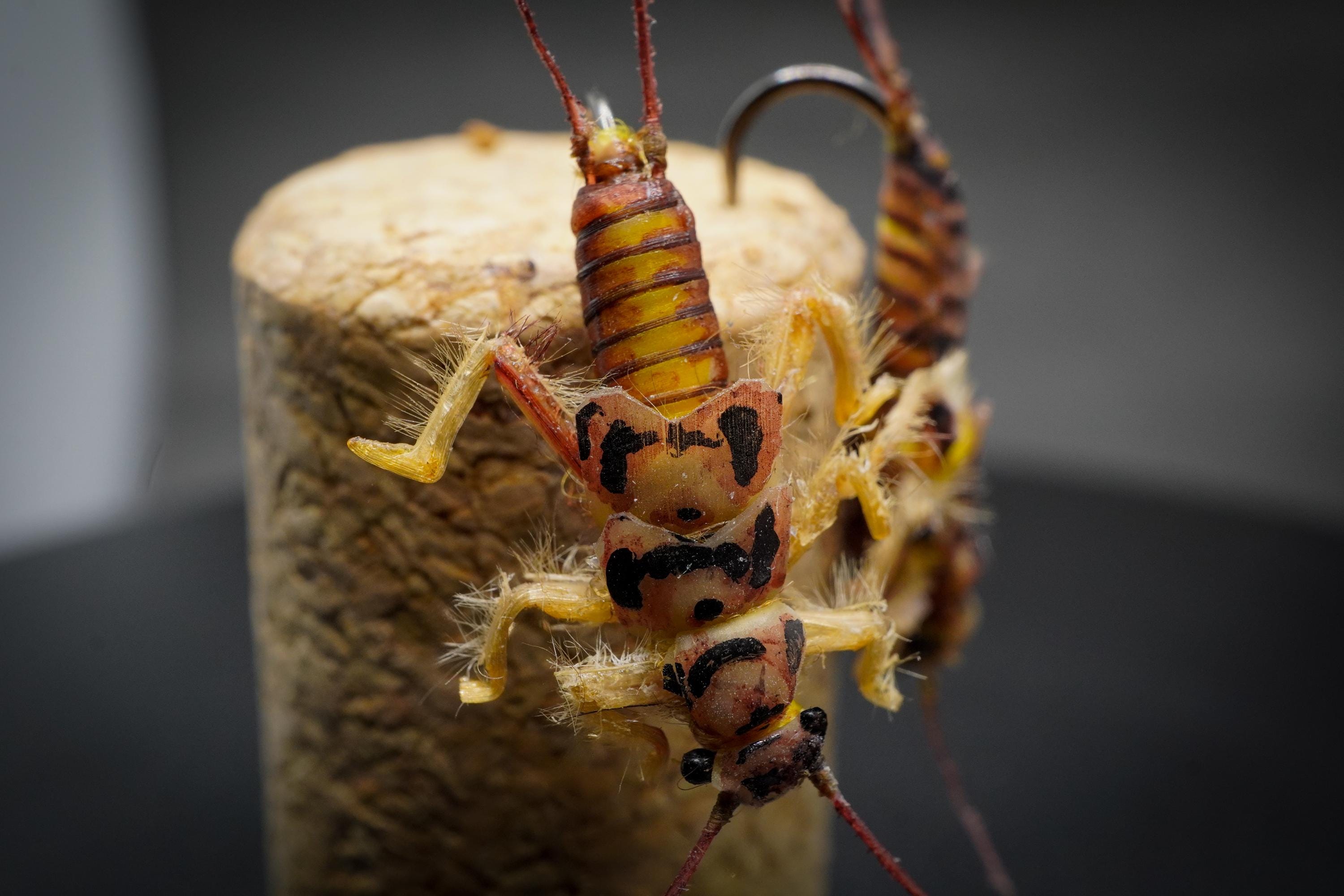 Fly Fishing - Realistic Golden Stonefly - Trout, Grayling, Barbel - Art ...