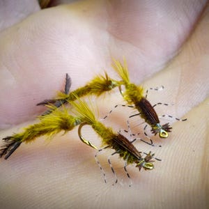 Fly Fishing - Damsel Fly Nymph - Realistic - Flies Fot Trout, Grayling ...