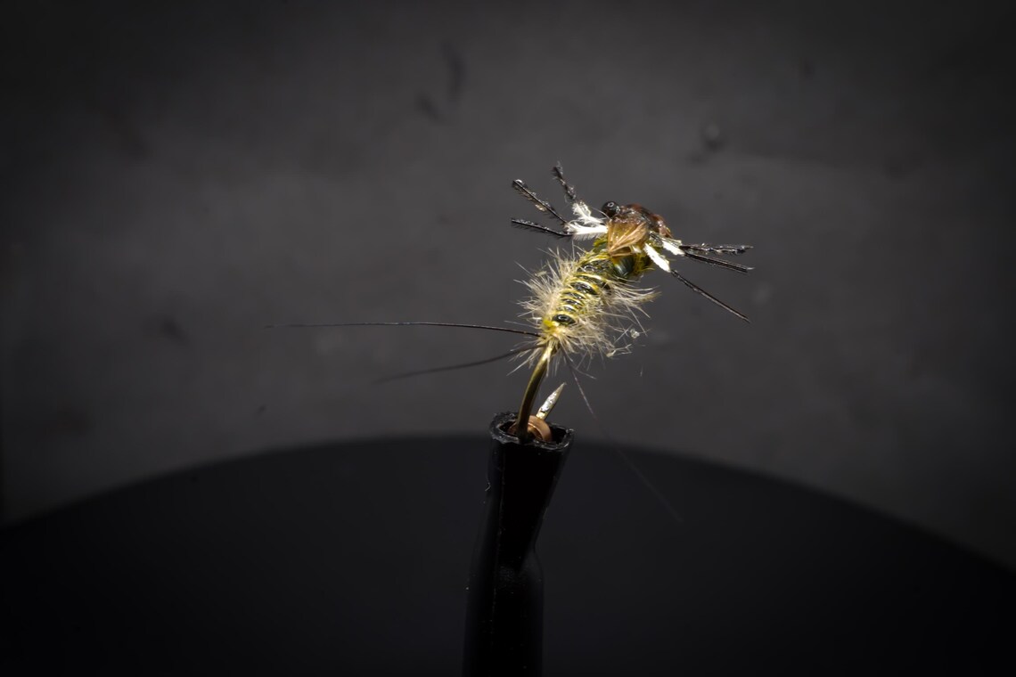 Fly Fishing-may Fly Nymph - Heptagenia - Realistic - Trout, Grayling ...