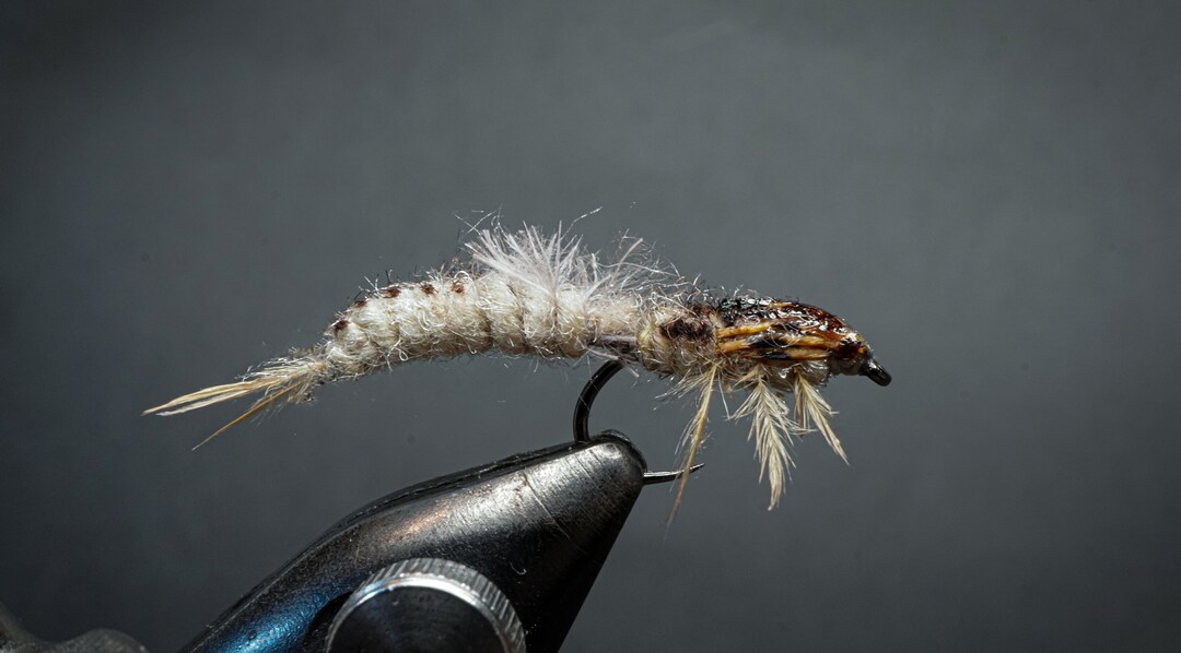 Fly Fishing - Green Drake Nymph - Ephemera Danika - Realistic - Trout ...